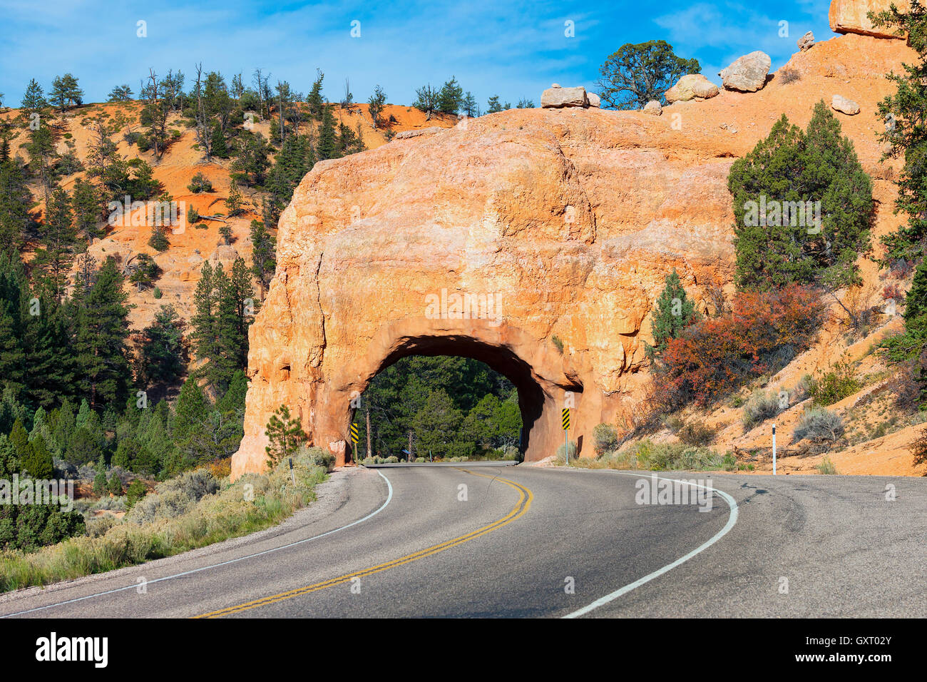 Beauty arch hi-res stock photography and images - Alamy