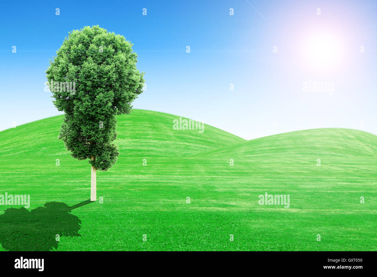 green grass hills and tree with sun and sk Stock Photo - Alamy