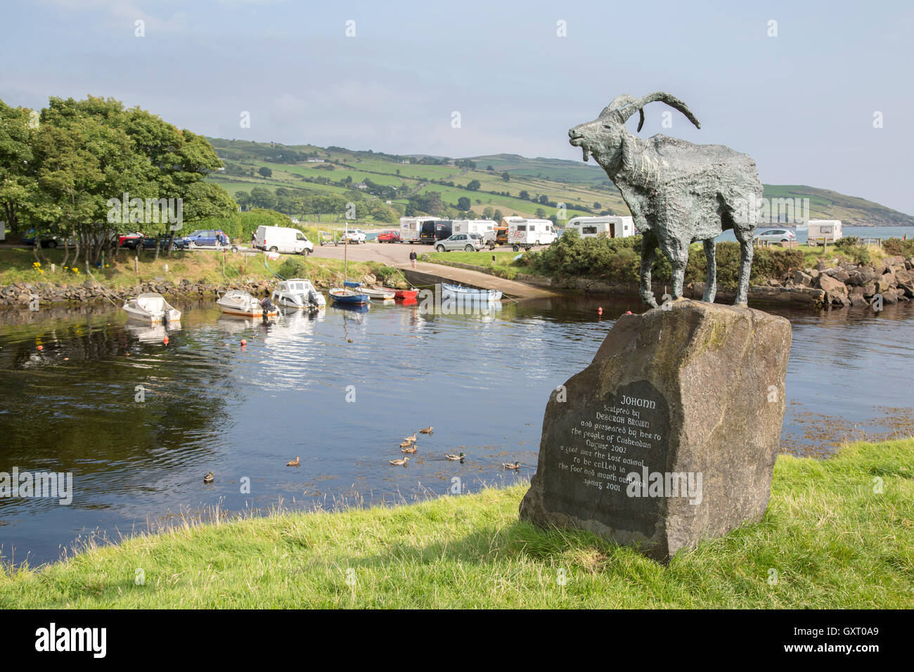 Ireland irish goat hi-res stock photography and images - Alamy