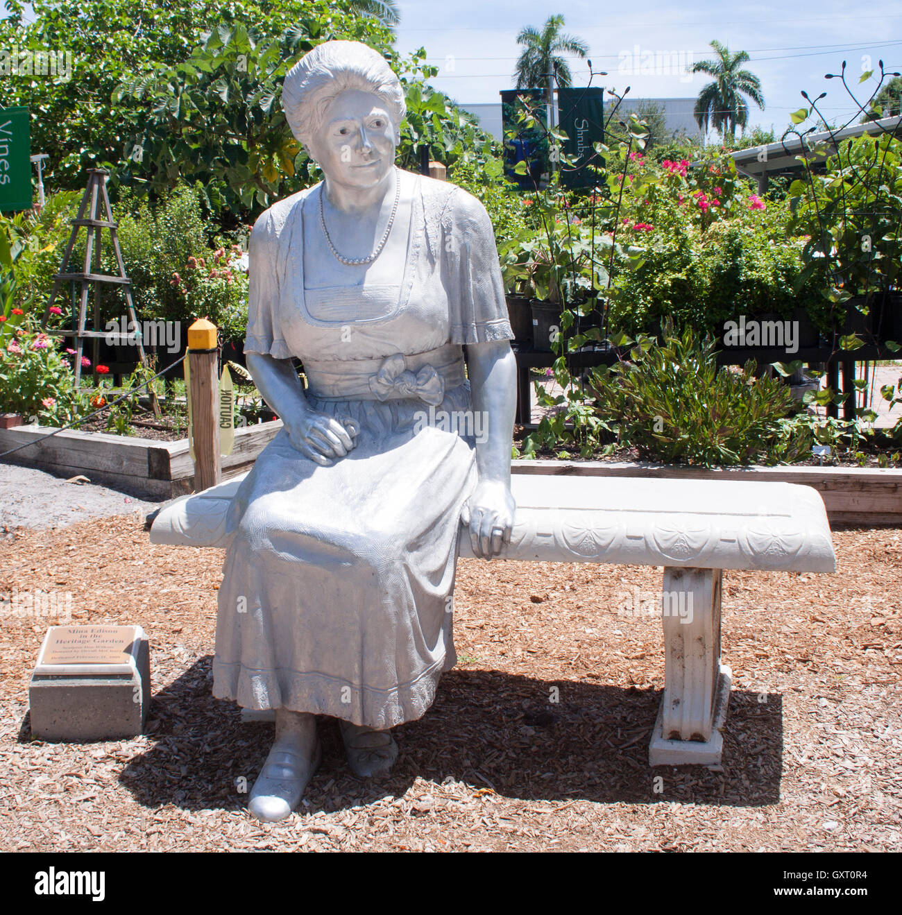 Thomas edison statue florida hi-res stock photography and images - Alamy