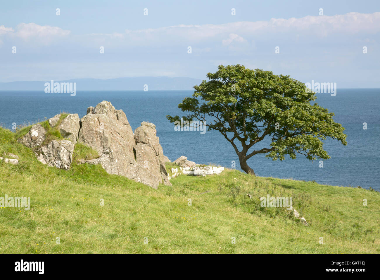 Rock and Tree, Murlough Beach; County Antrim; Northern Ireland Stock ...