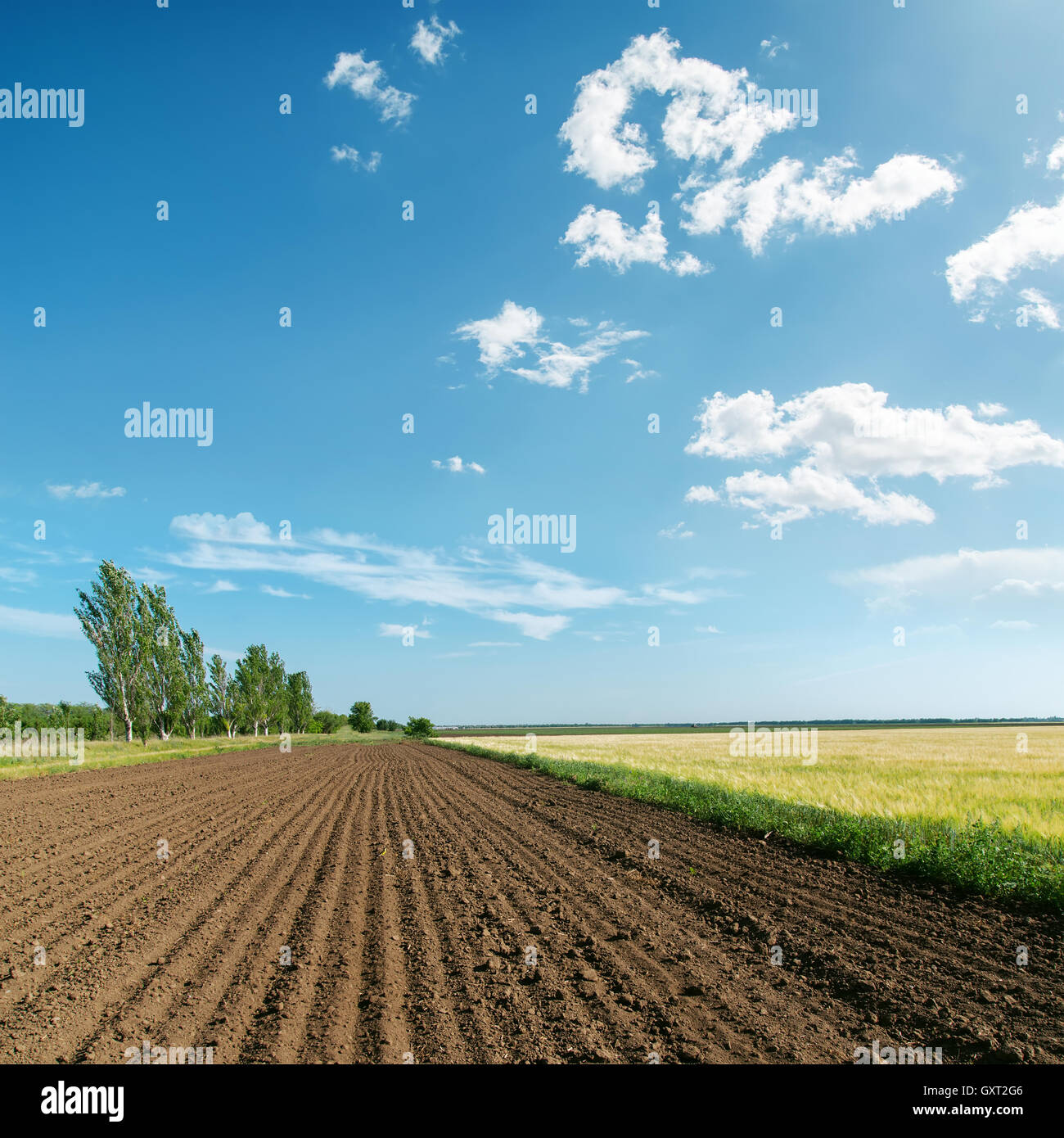 landscape with plowed field under light clouds Stock Photo - Alamy