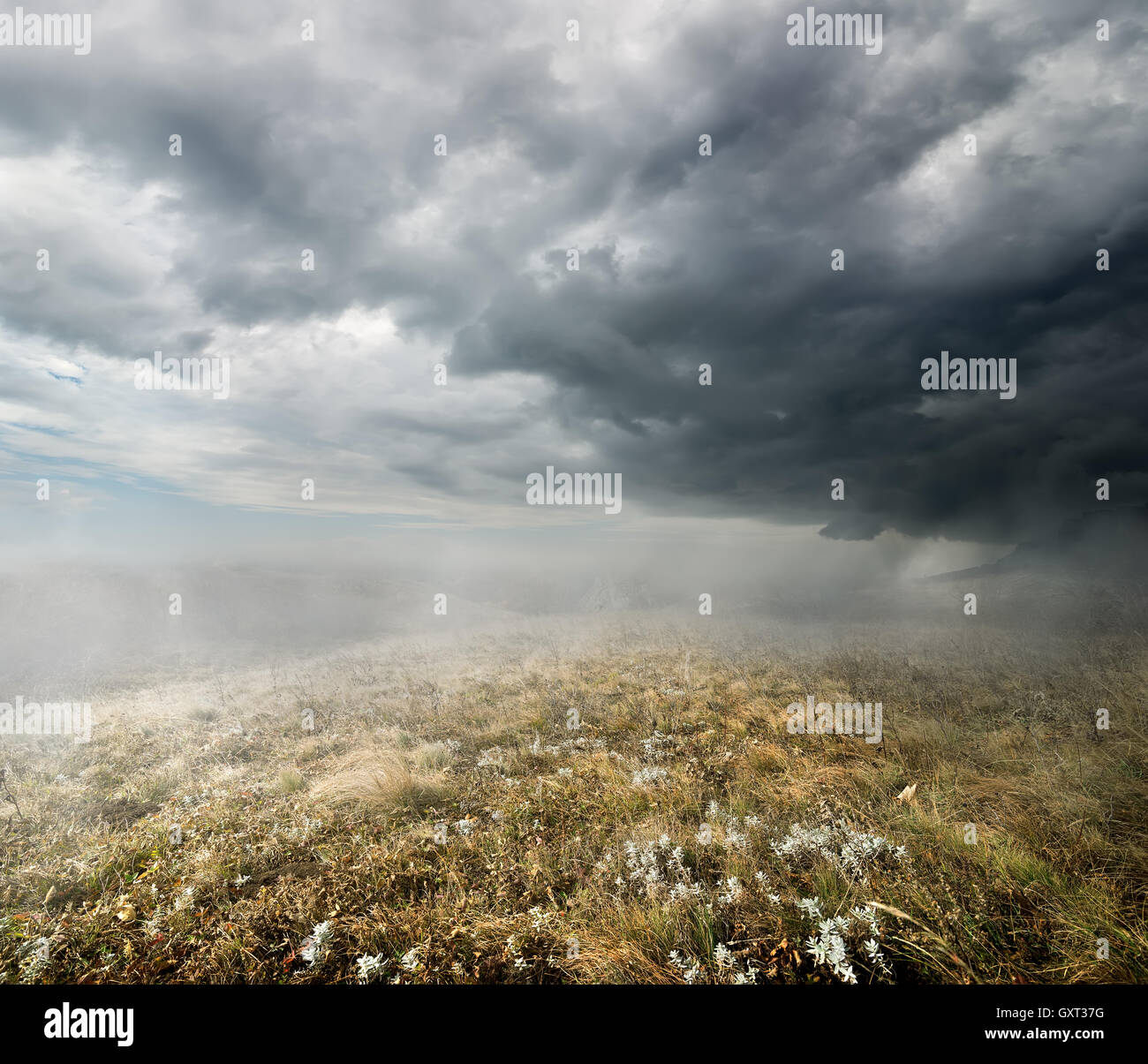 Dark clouds over flower meadow hi-res stock photography and images - Alamy