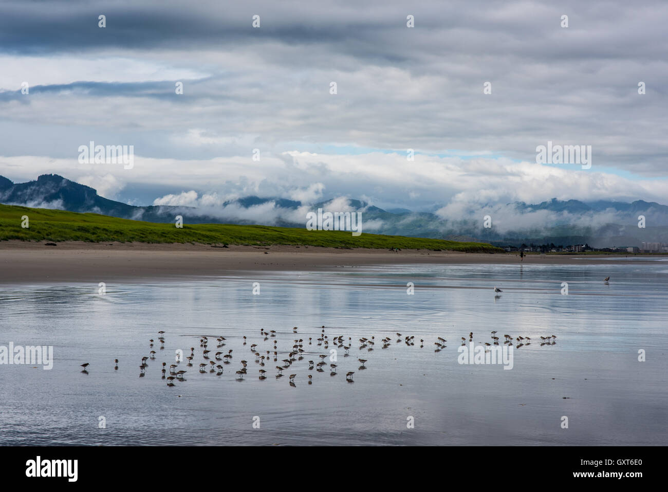 Gearhart oregon hi-res stock photography and images - Alamy
