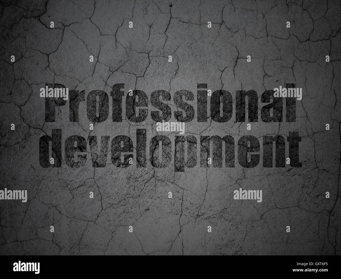 Education concept: Professional Development on grunge wall background ...
