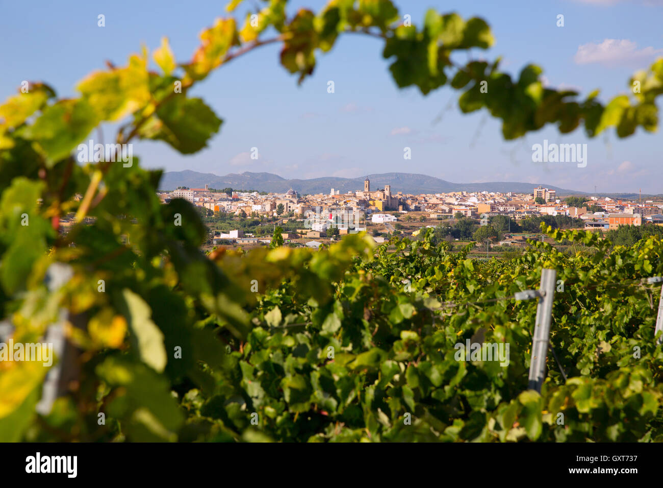 Requena in Valencia province a wine region of Spain Stock Photo - Alamy