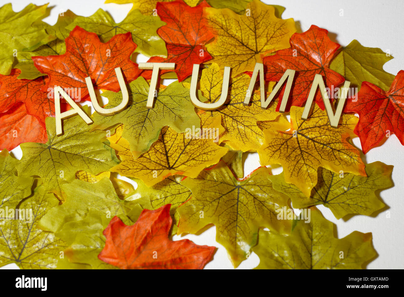 The concept of Autumn with coloured leaves and the letters spelling ...