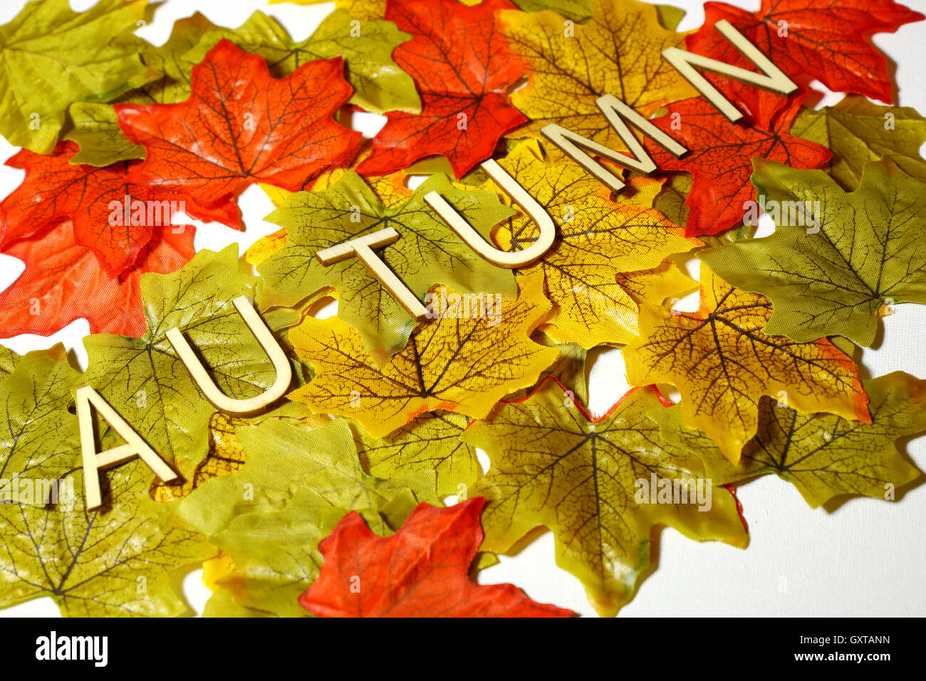 The concept of Autumn with coloured leaves and the letters spelling ...
