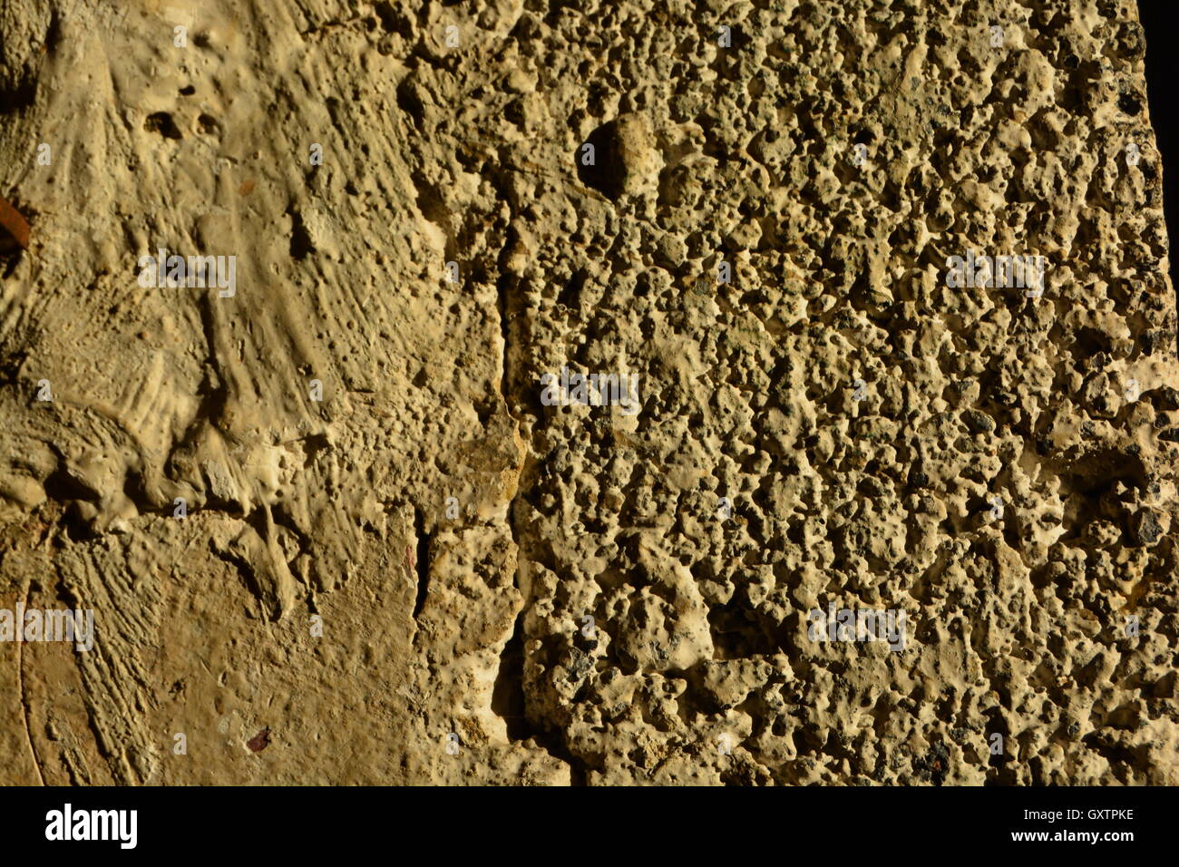 Cellar wall hi-res stock photography and images - Alamy