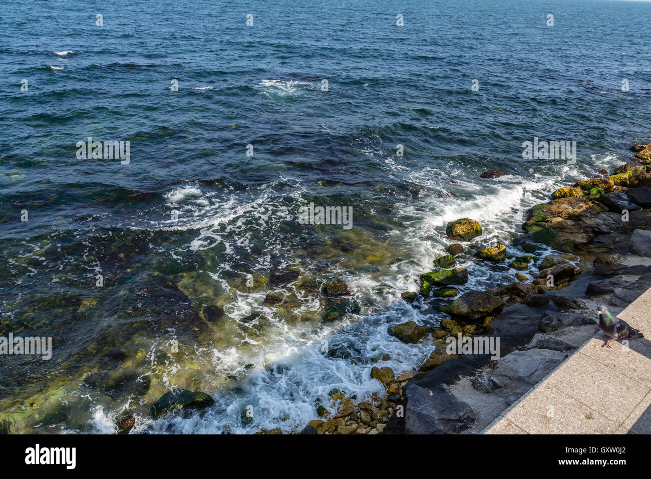 Wave hitting coast Stock Photo - Alamy