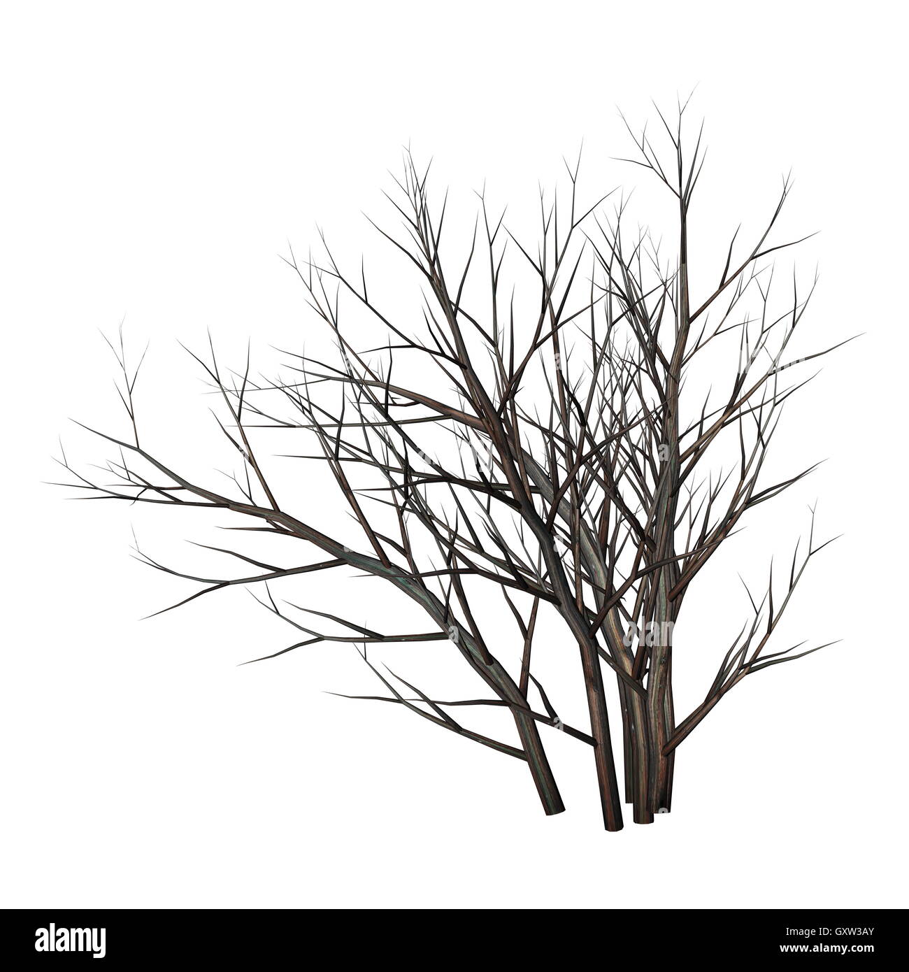 Dead tree bush in the desert with crow raven by night with full moon ...