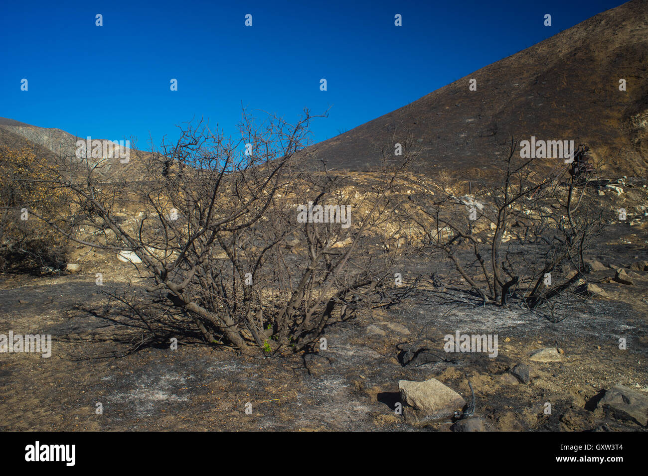 Burn in mojave desert hi-res stock photography and images - Alamy