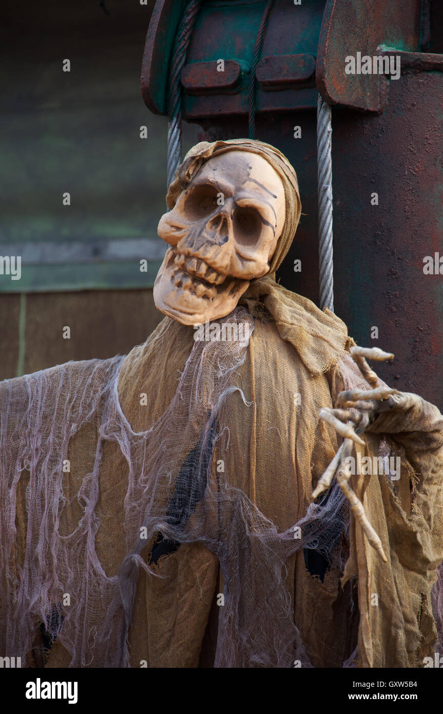 Cool skeleton hi-res stock photography and images - Alamy