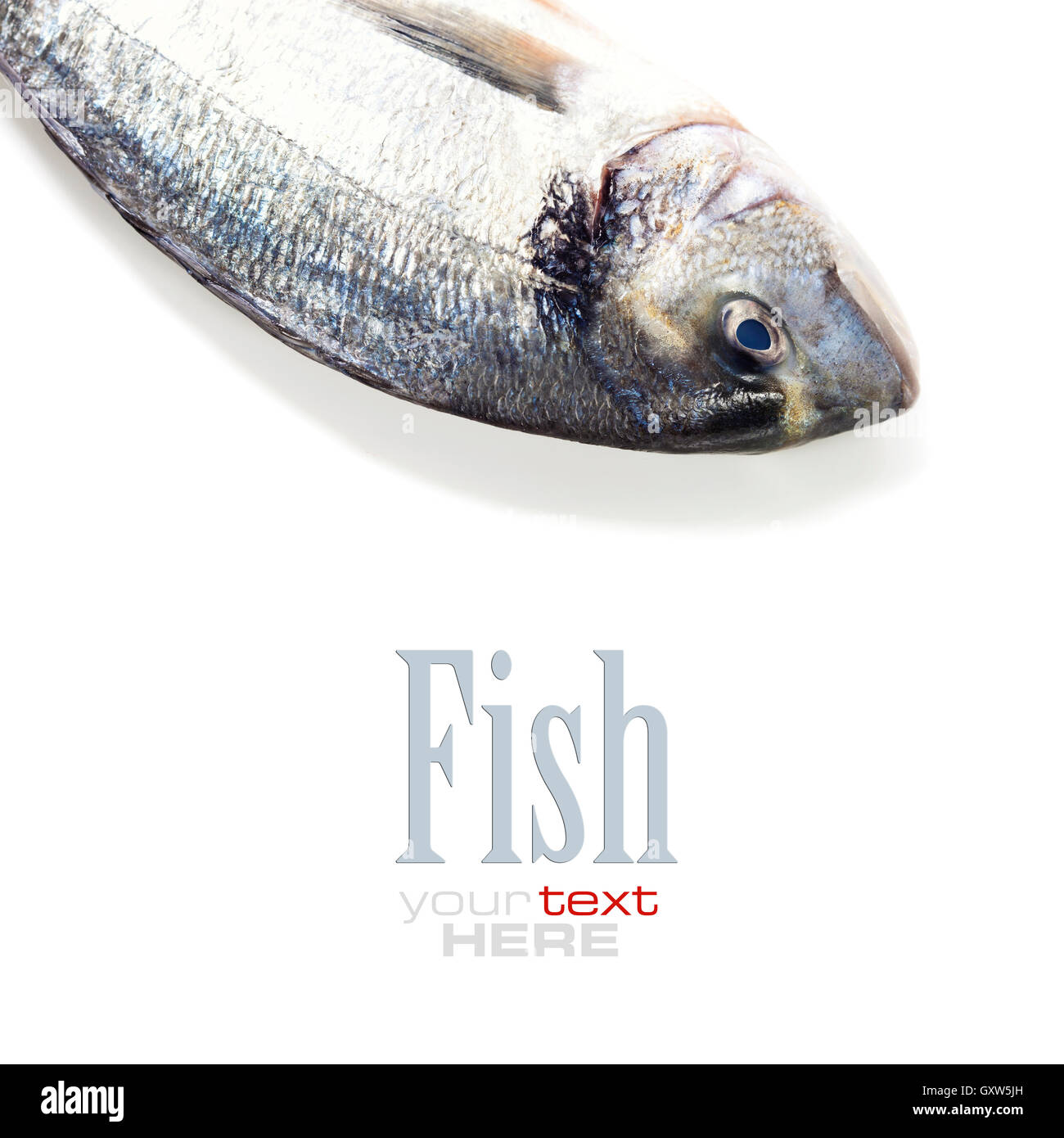 fresh dorada fish Stock Photo - Alamy