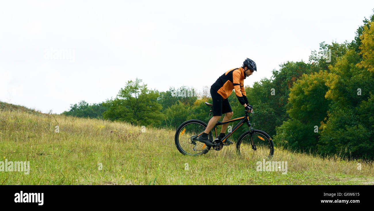 Cyclist Riding the Bike in the Beautiful Autumn Forest Stock Photo - Alamy