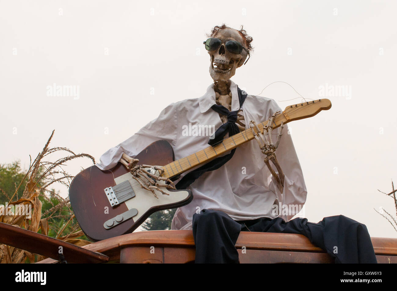 funny skeleton with guitar Stock Photo - Alamy