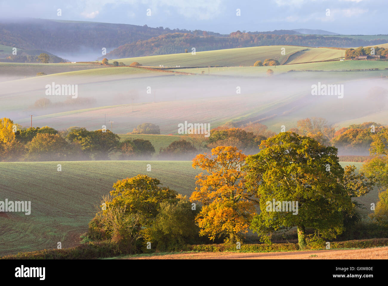 Mist covered rolling farmland, Near Cheriton Bishop, Devon, England ...