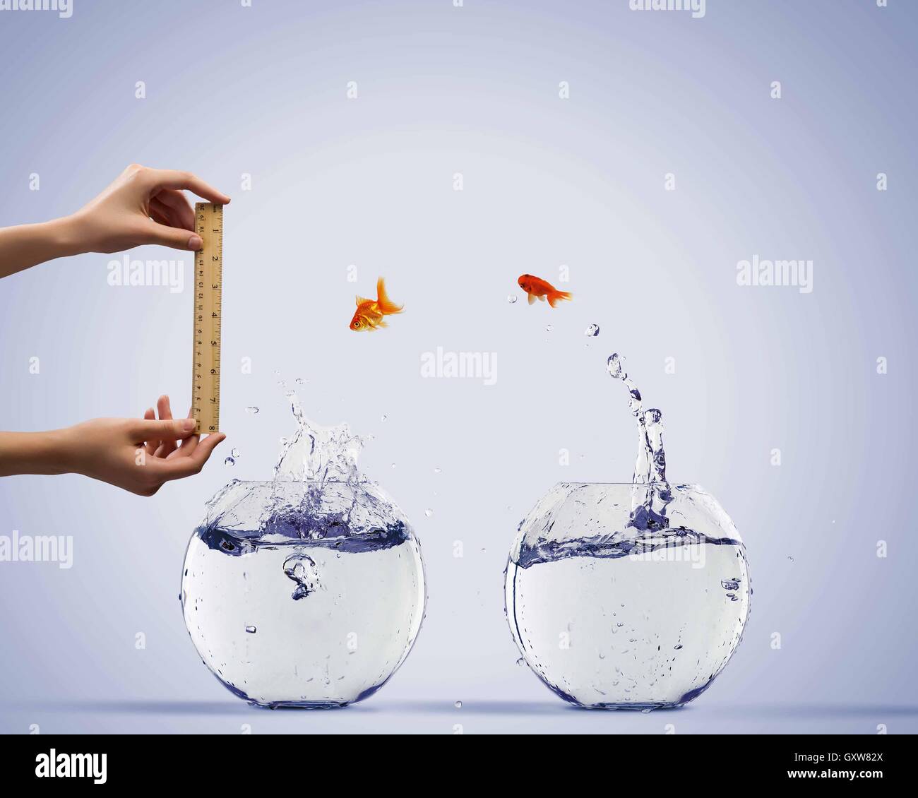 Gold fish bowl jump hi-res stock photography and images - Alamy