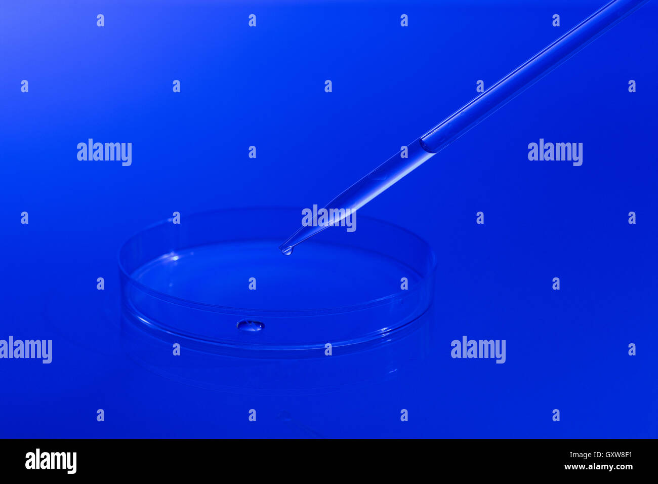 Stack laboratory hi-res stock photography and images - Alamy