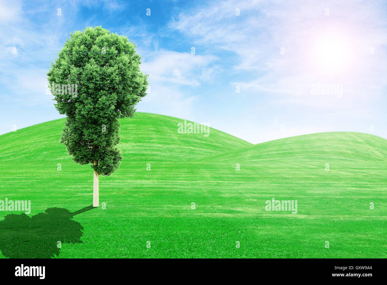 green grass hills and tree with sun and sk Stock Photo - Alamy