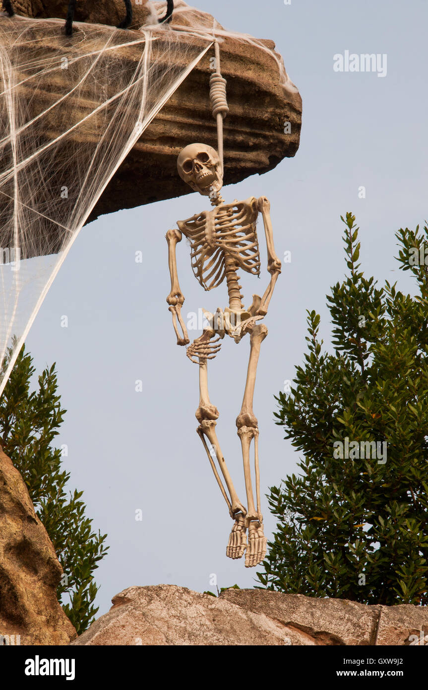 Cool skeleton hi-res stock photography and images - Alamy