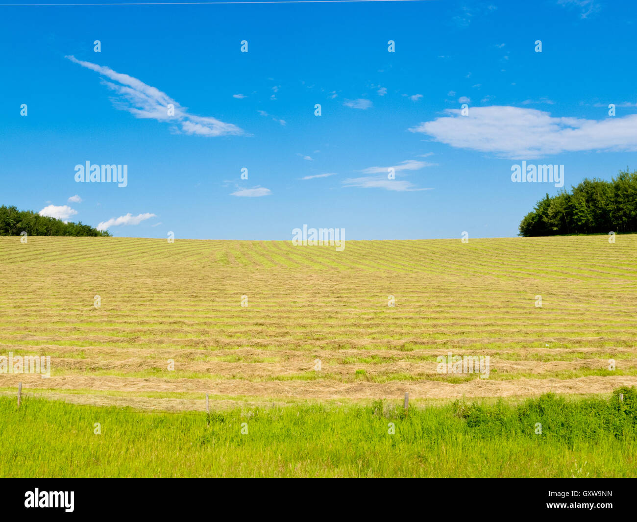 Agri cut hi-res stock photography and images - Alamy