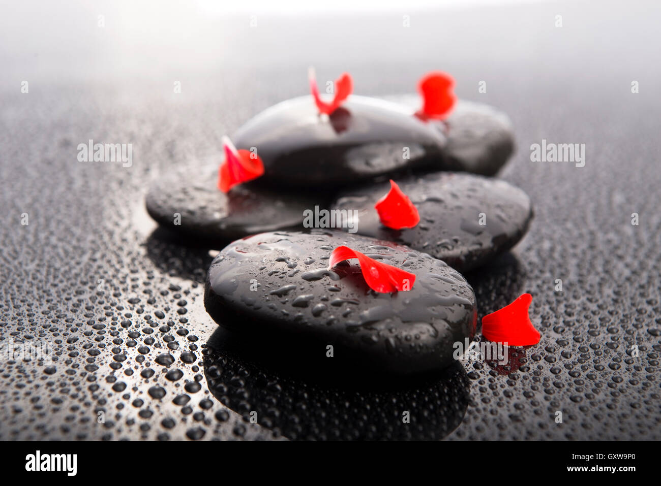 Concept element hi-res stock photography and images - Alamy