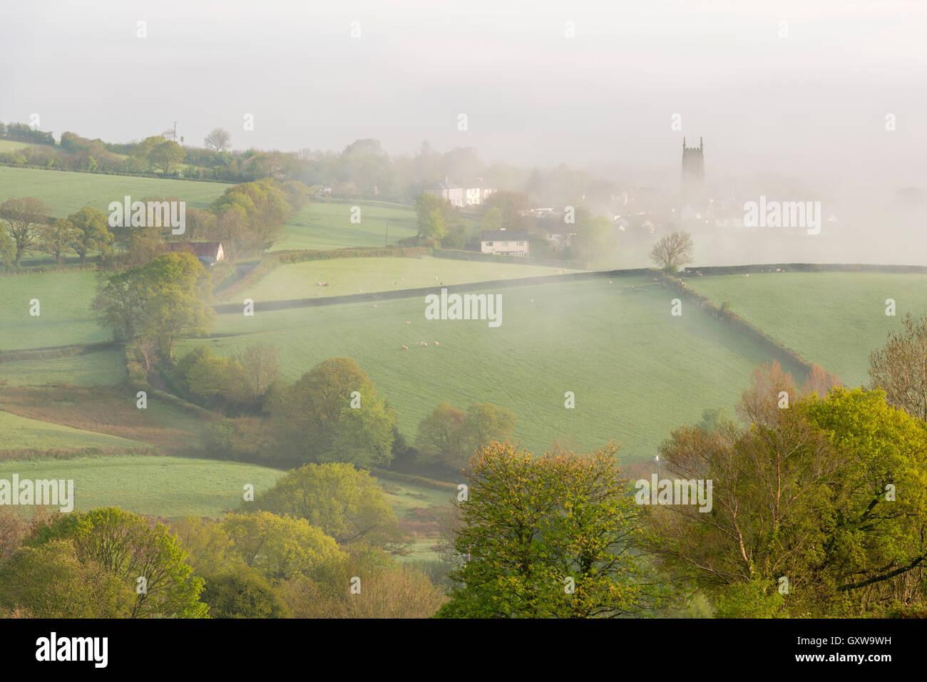 Devon hedgerows may hi-res stock photography and images - Alamy
