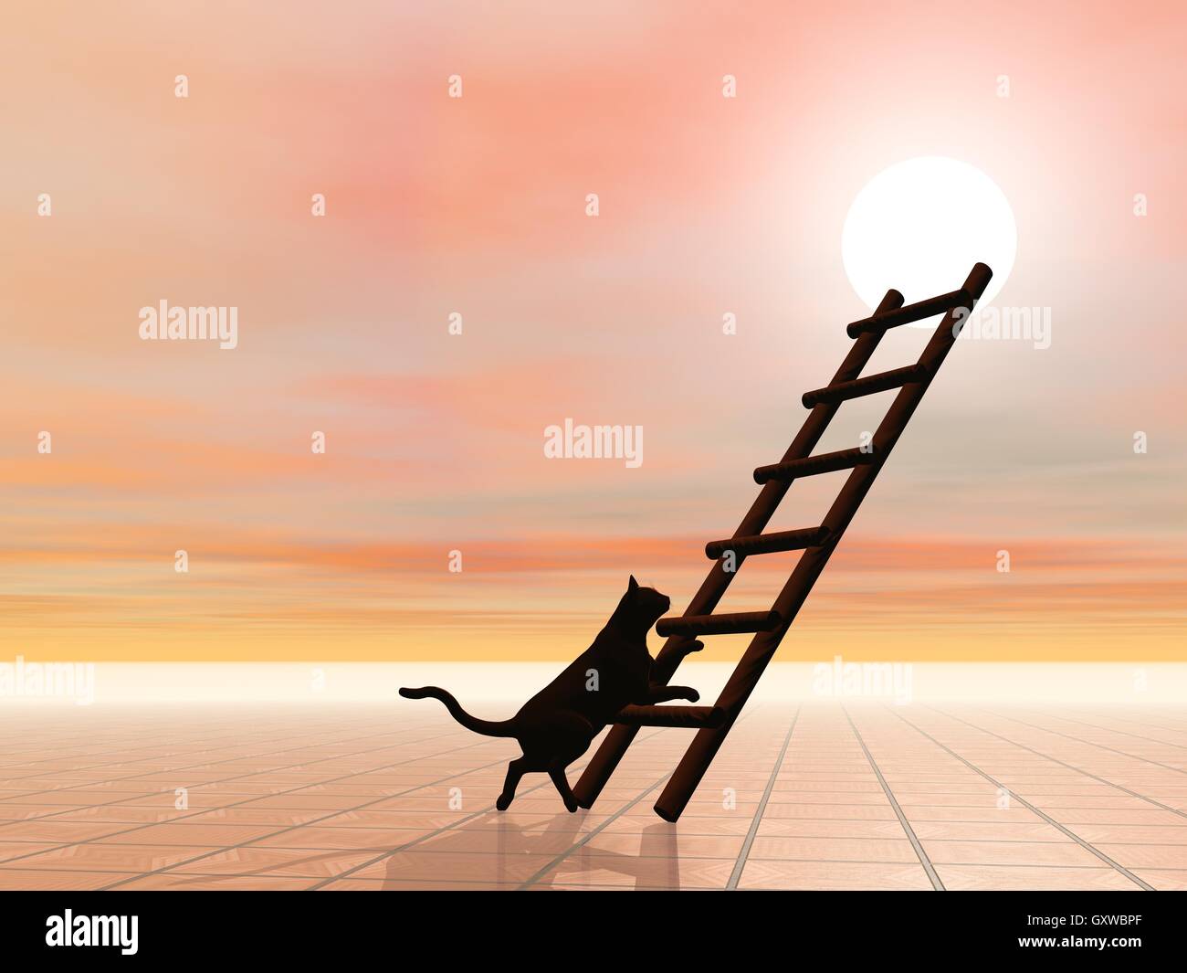 Ladder and cat - 3D render Stock Photo - Alamy