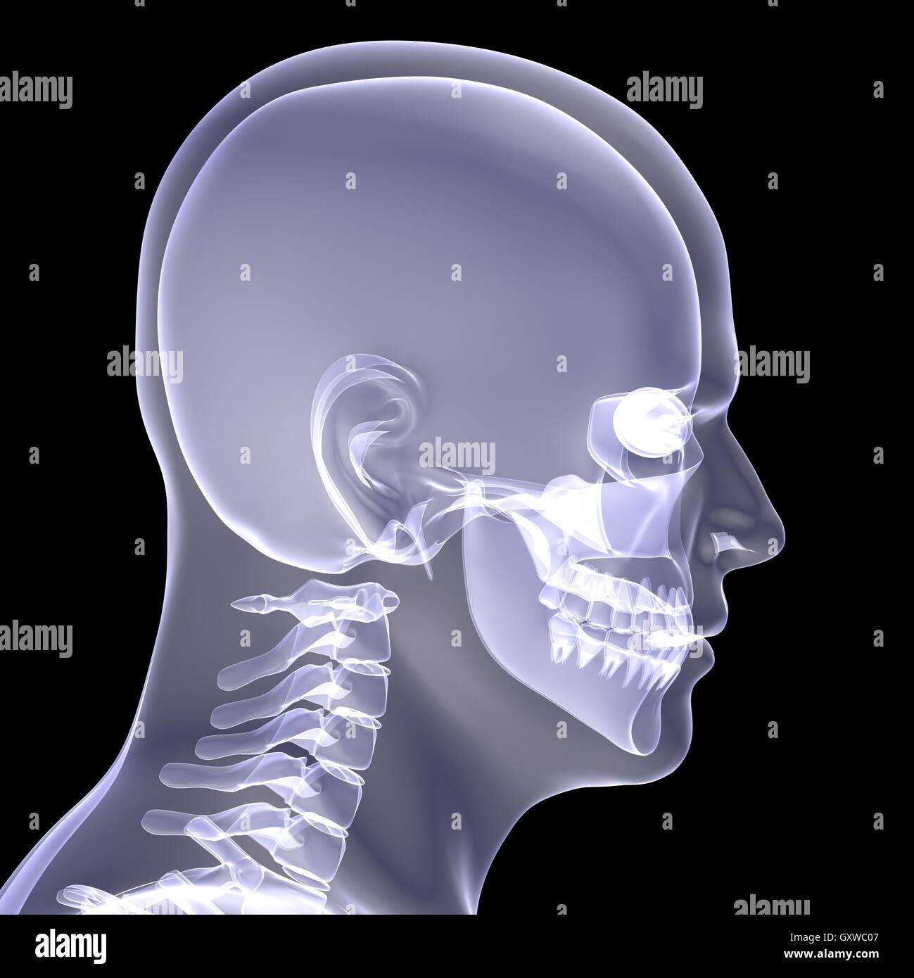 Skeleton mans hi-res stock photography and images - Alamy