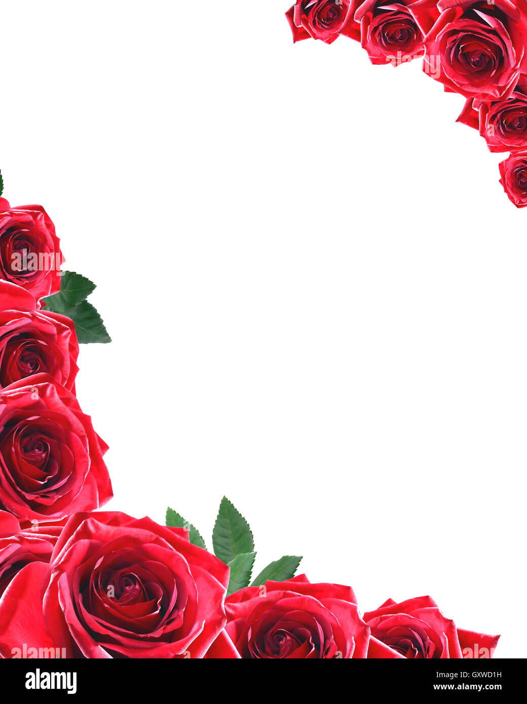 Rose frame hi-res stock photography and images - Alamy