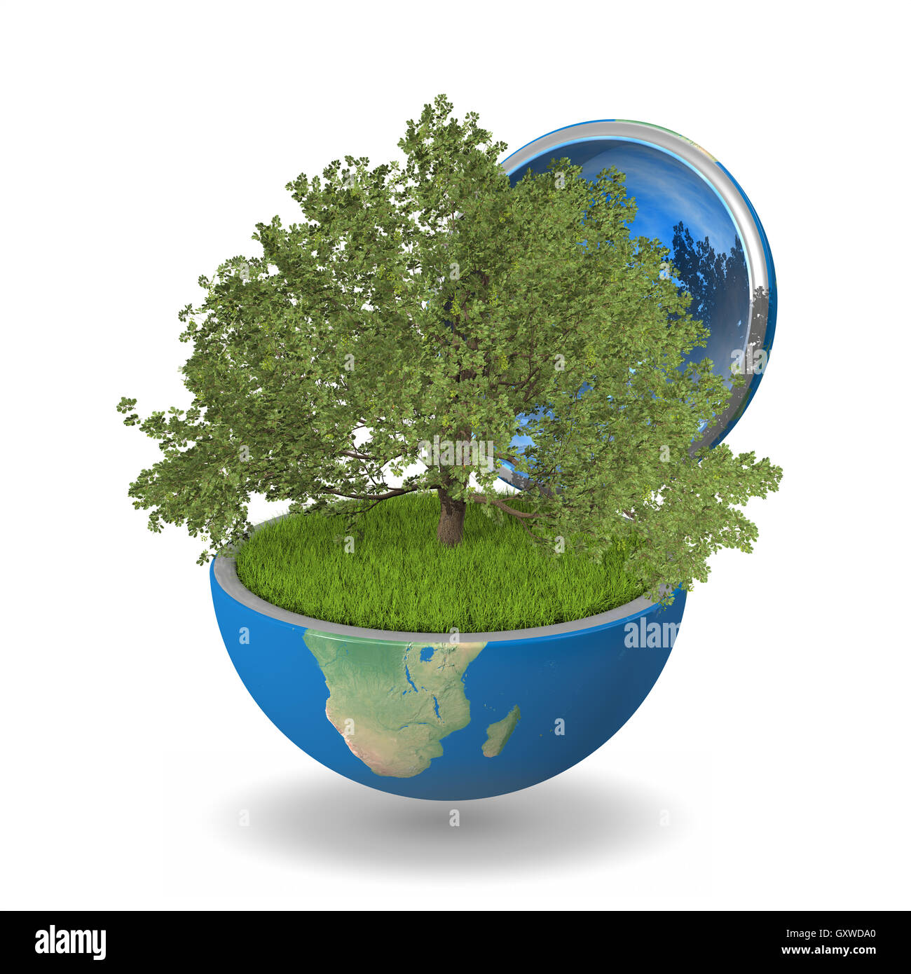 Oak tree inside planet Stock Photo - Alamy