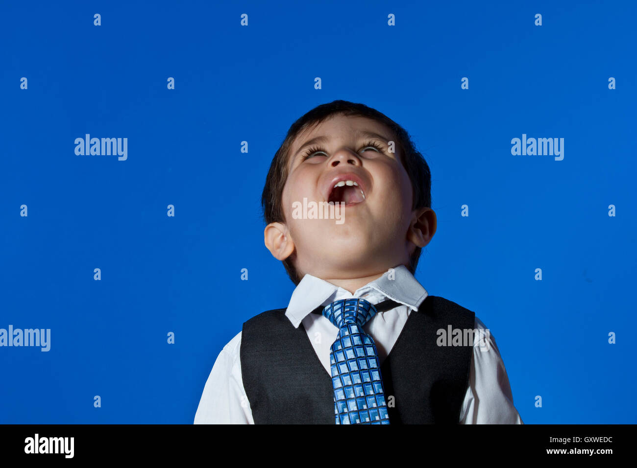 Leader, cute little boy portrait over blue chroma background Stock ...