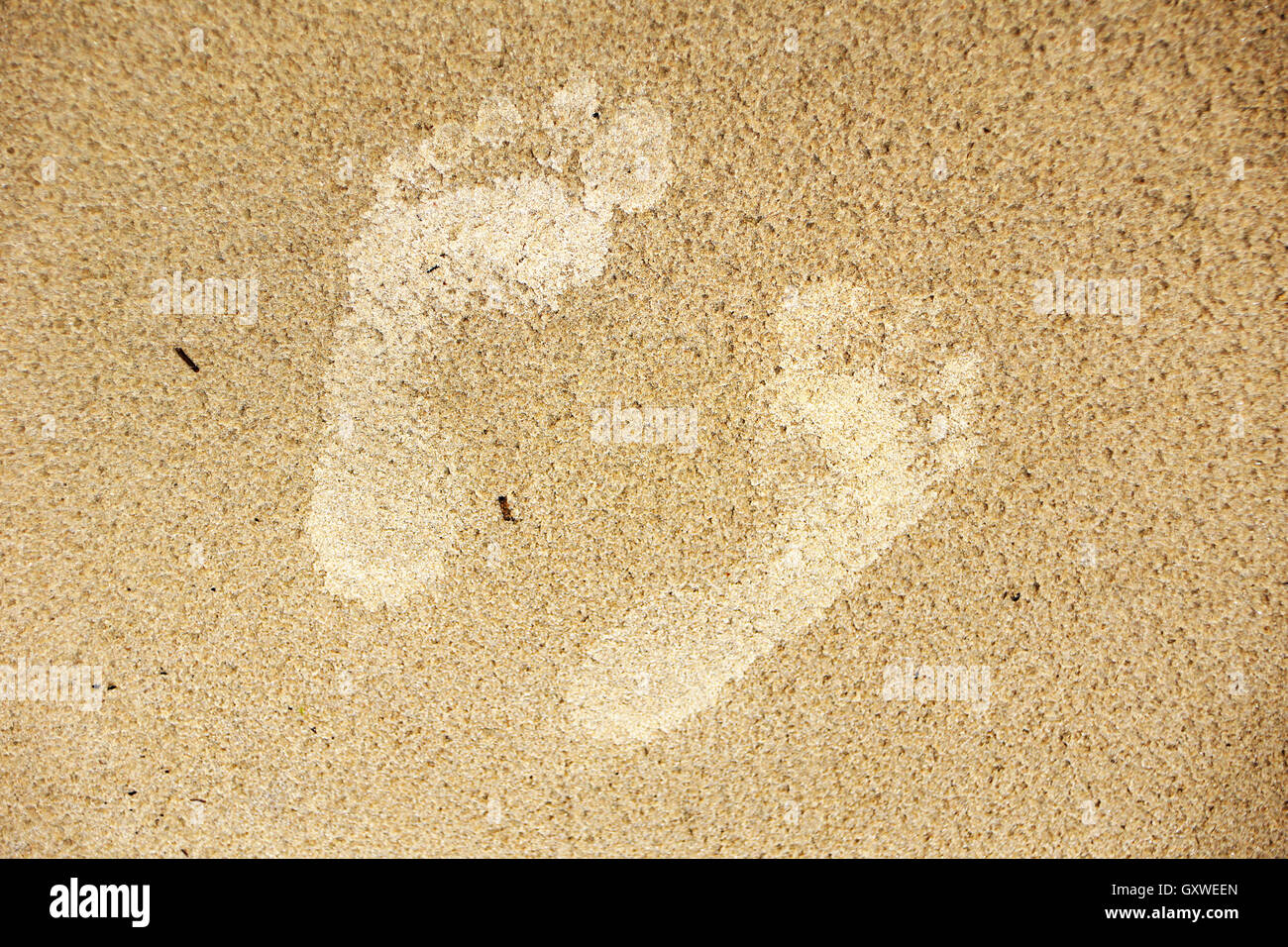Footprints in the sand Stock Photo - Alamy
