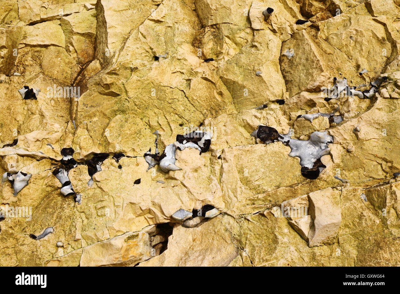 Flint layers in the chalk cliffs hi-res stock photography and images ...