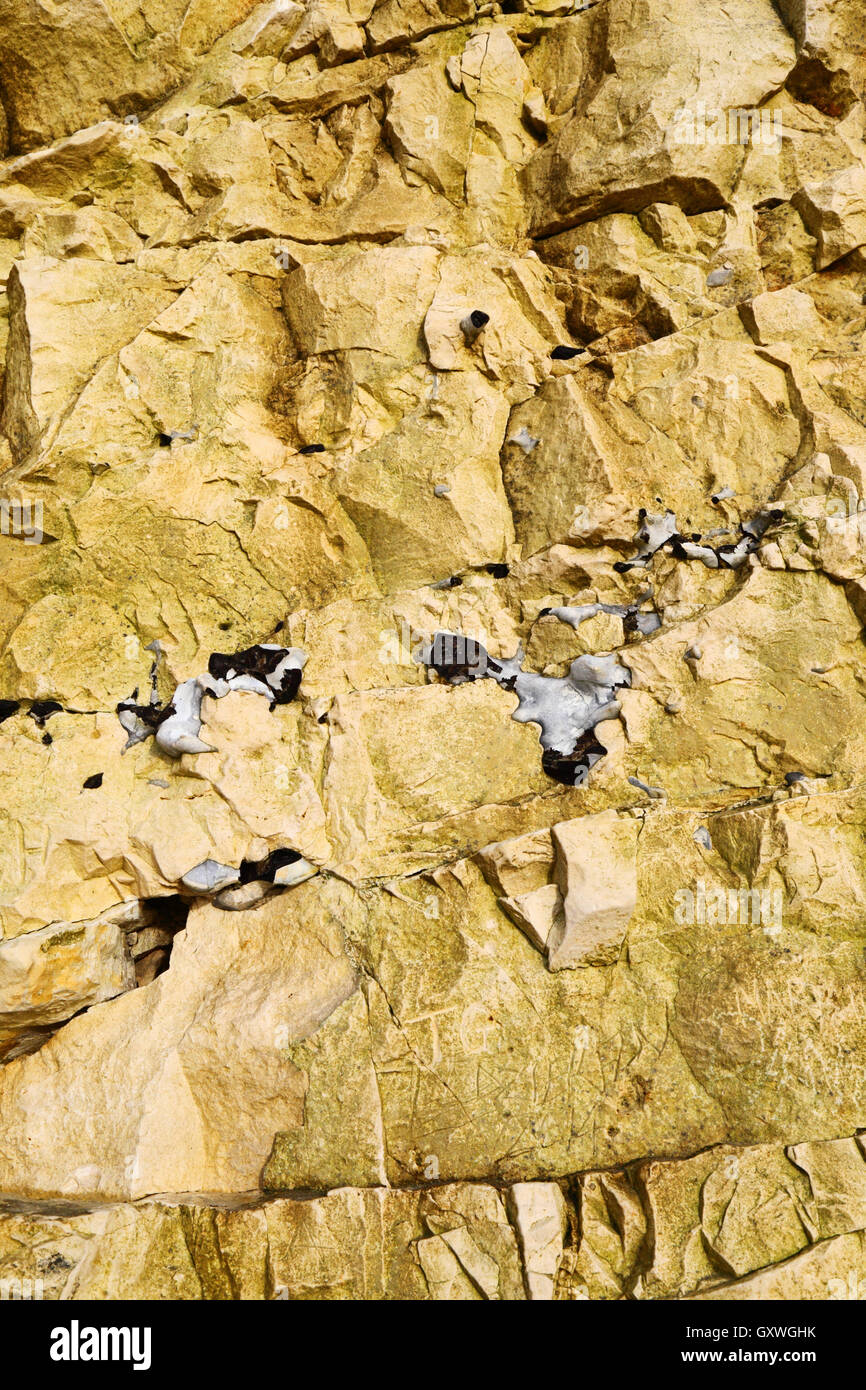 Uk chalk flint nodules hi-res stock photography and images - Alamy