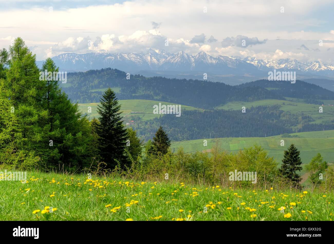 Picturesque spring landscape hi-res stock photography and images - Alamy