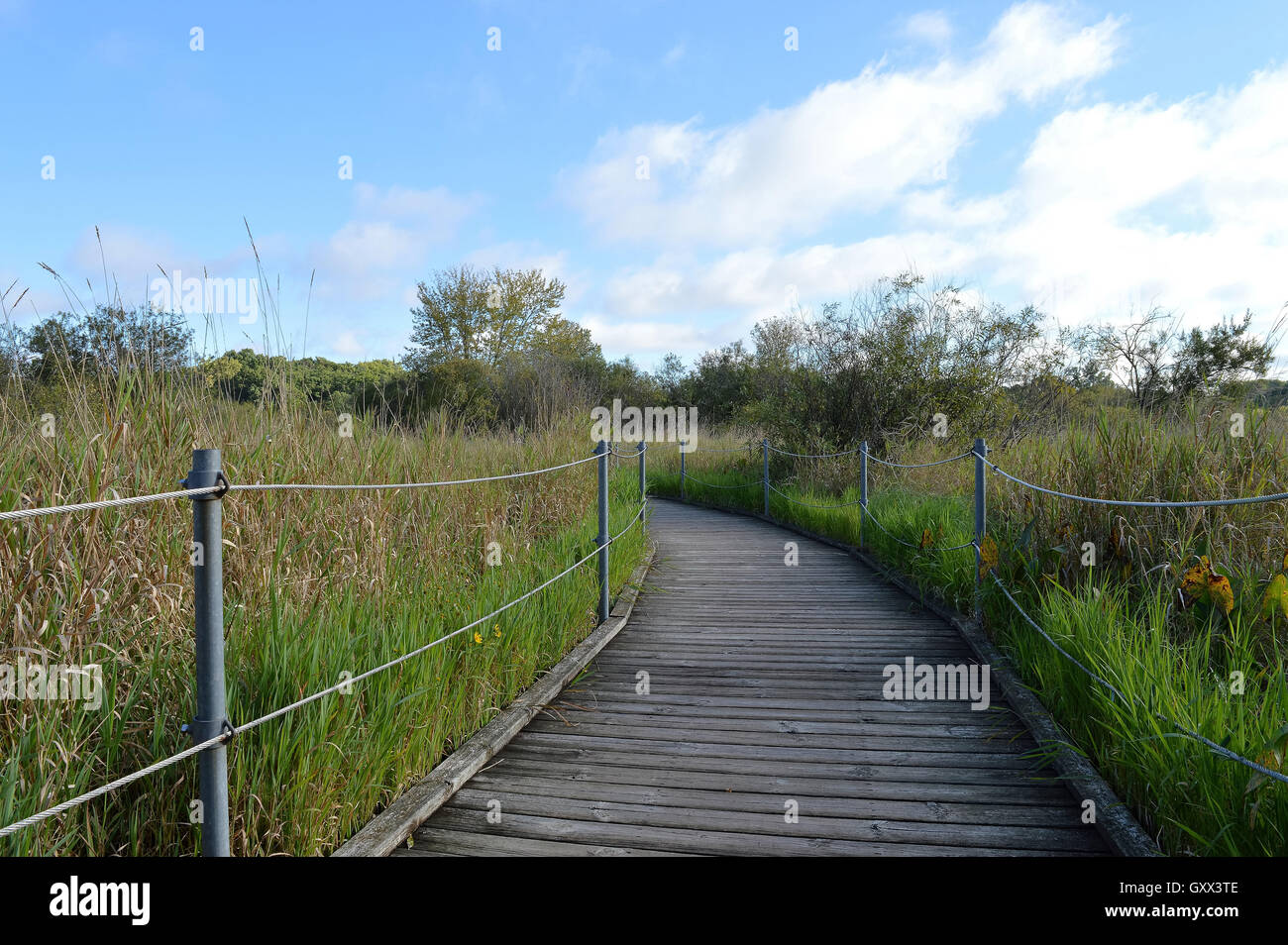 Boardwalk in the Wetland Stock Photo - Alamy