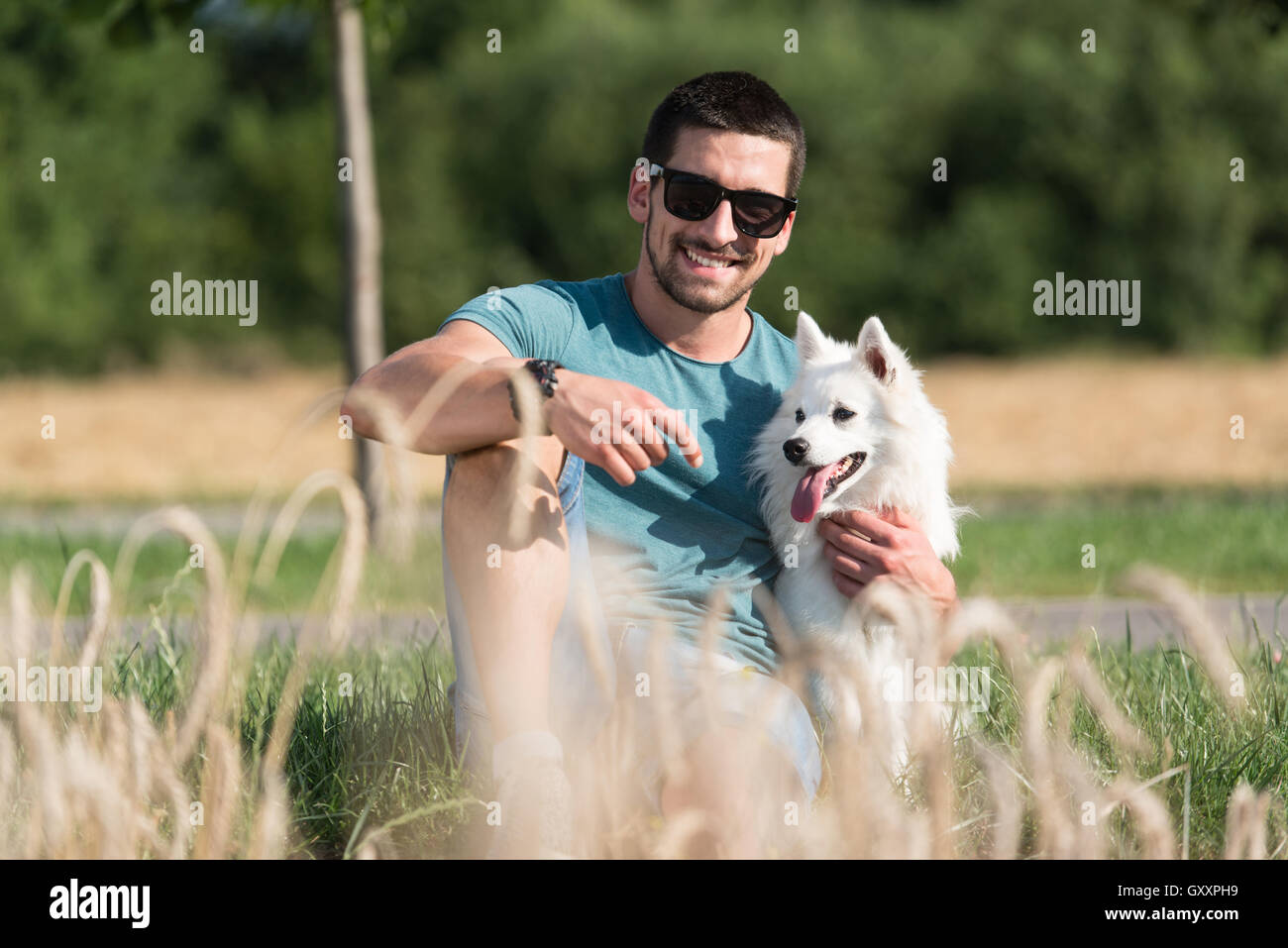 German spitz hi-res stock photography and images - Alamy