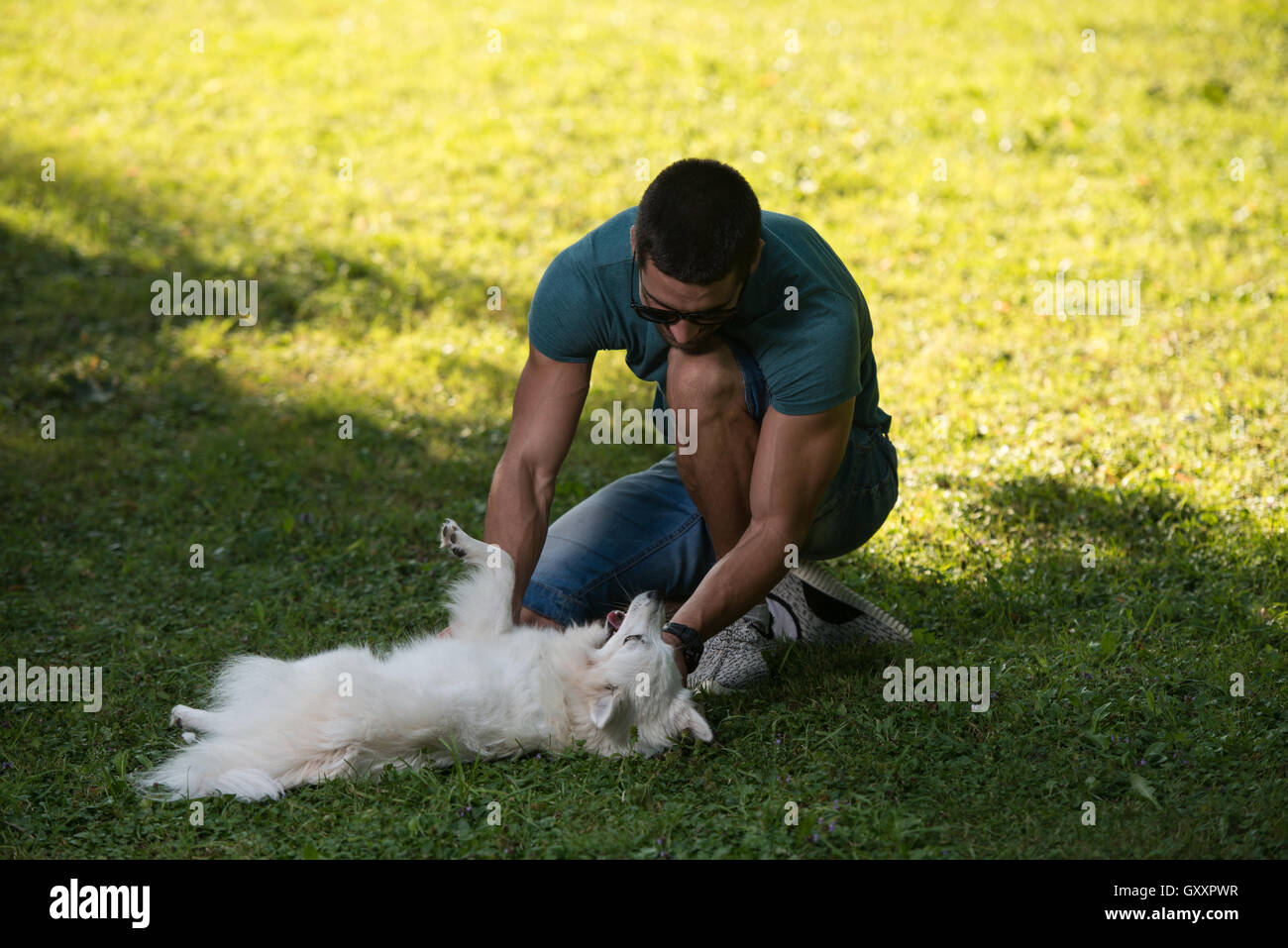 Man And German Spitz Sitting In The Park - Together Enjoying The View ...