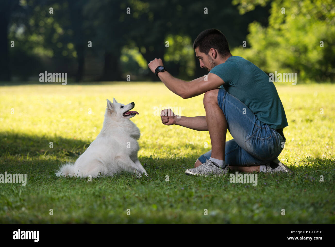 Young Man Sitting With Dog German Spitz In Park - He Cleans Him Stock ...