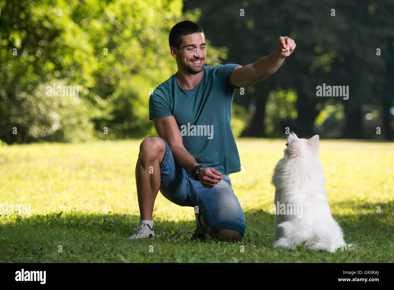 Man And German Spitz Sitting In The Park - Together Enjoying The Time ...