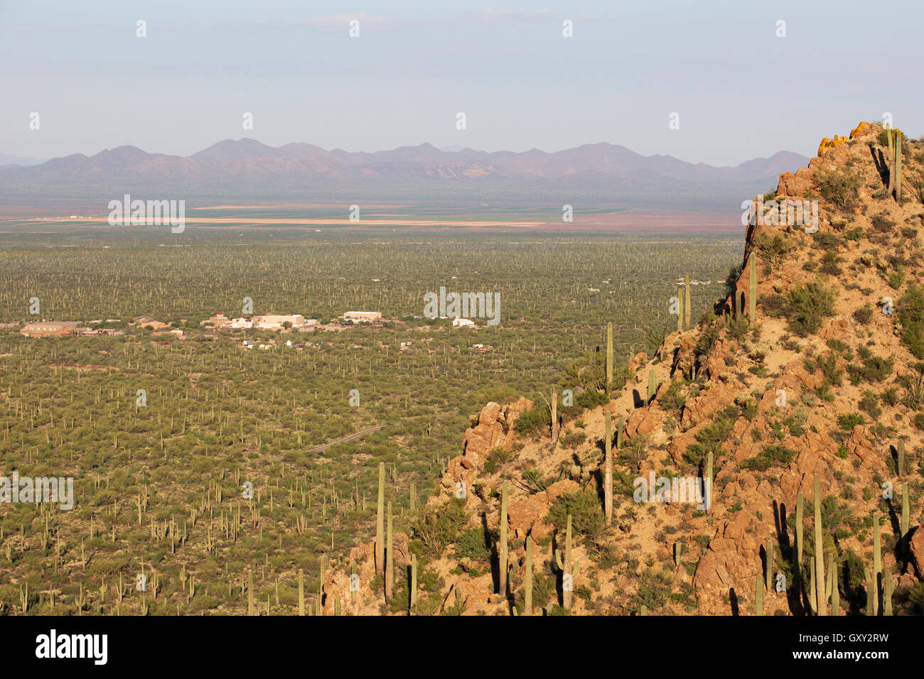 Saguaro National Park in Arizona Stock Photo - Alamy