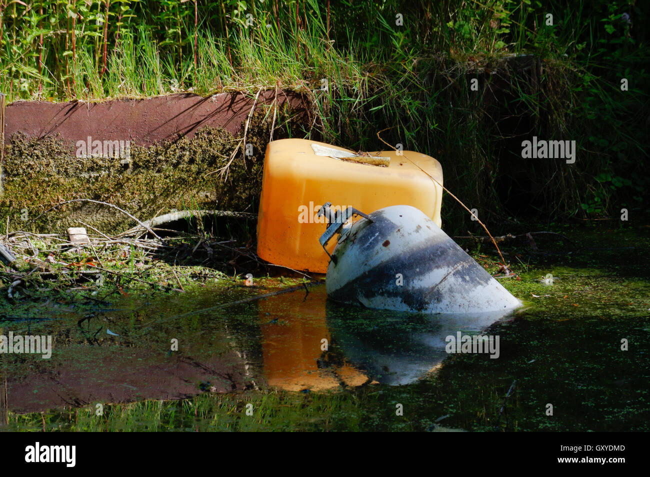 the Contamination of lake. An environmental problem Stock Photo - Alamy