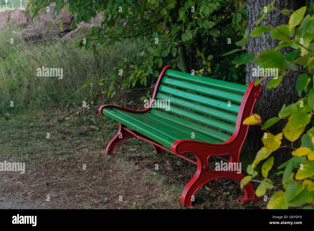a wooden green park bench under trees in the forest Stock Photo - Alamy