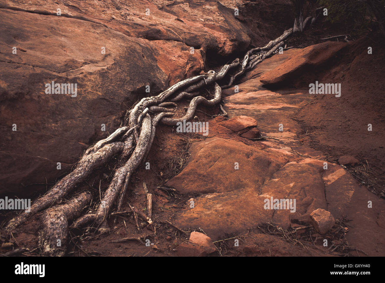 Twisting hi-res stock photography and images - Alamy