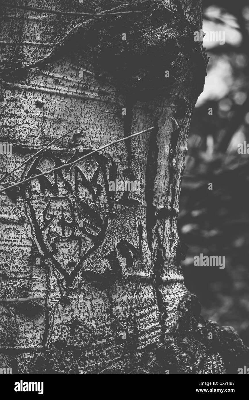 Aspen tree carving hi-res stock photography and images - Alamy