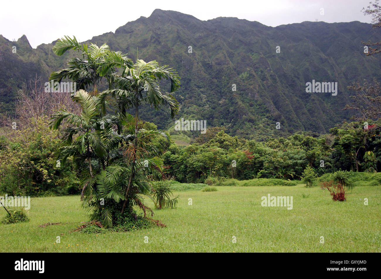 View of the mountain ridges, Oahu, Hawaii Stock Photo - Alamy