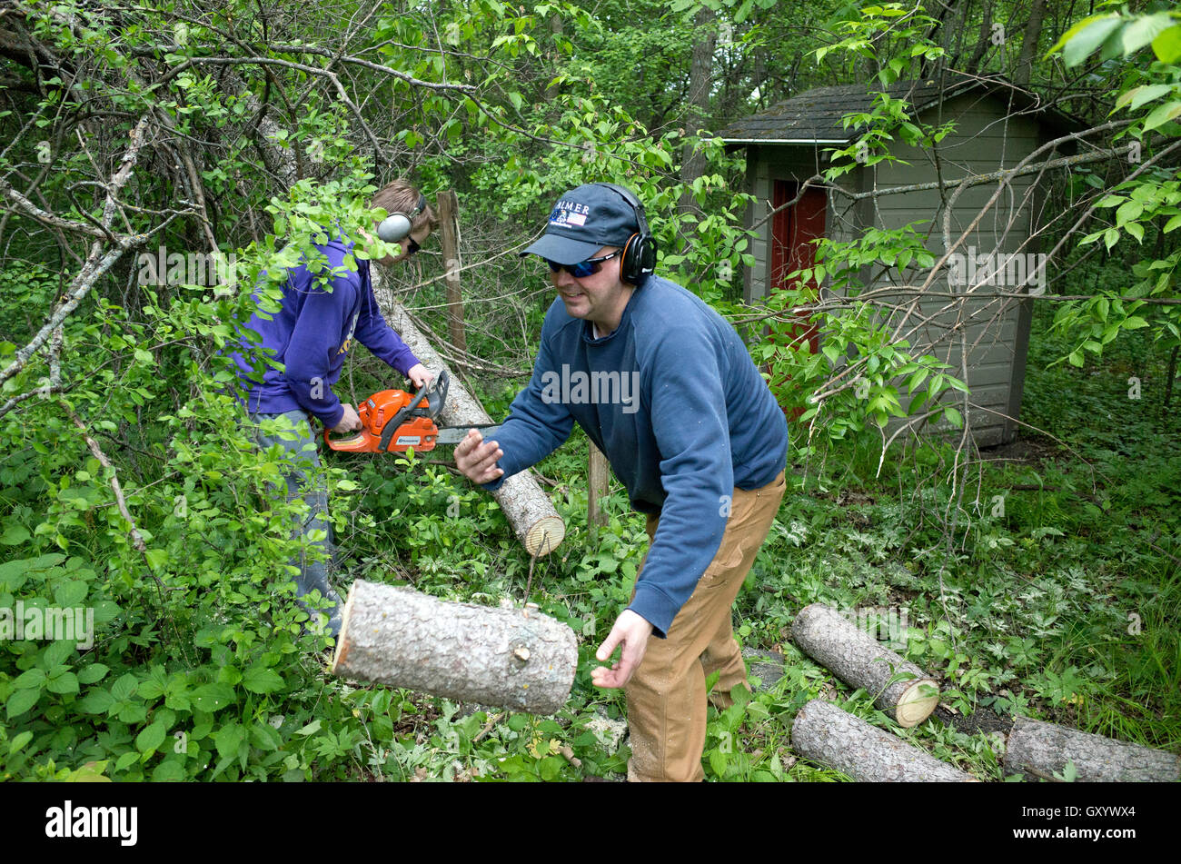 Boy age 17 cutting tree with chainsaw under tutelage of father both ...