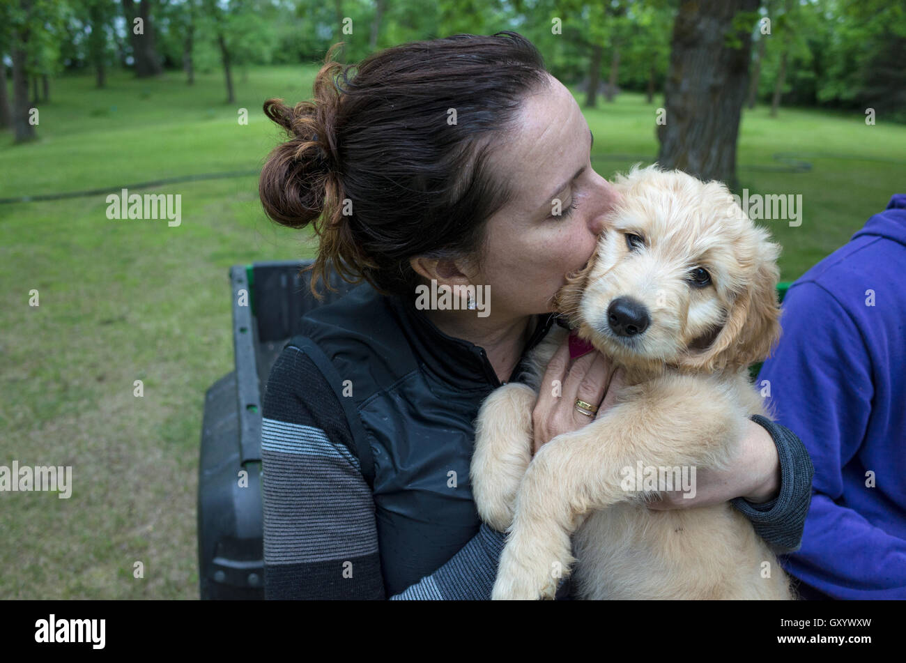 A hug and a kiss for the reluctant Goldendoodle puppy from his new ...